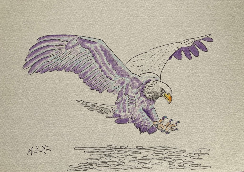 Mick Burton | Continuous Line Drawing