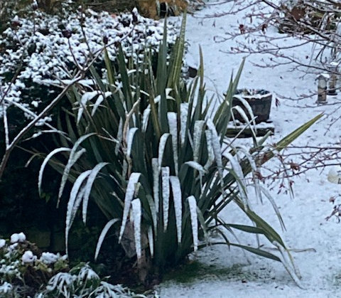 Mick Burton | Continuous Line Drawing